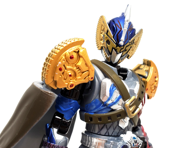 10/11 AMAZONZ : Studio Trefle