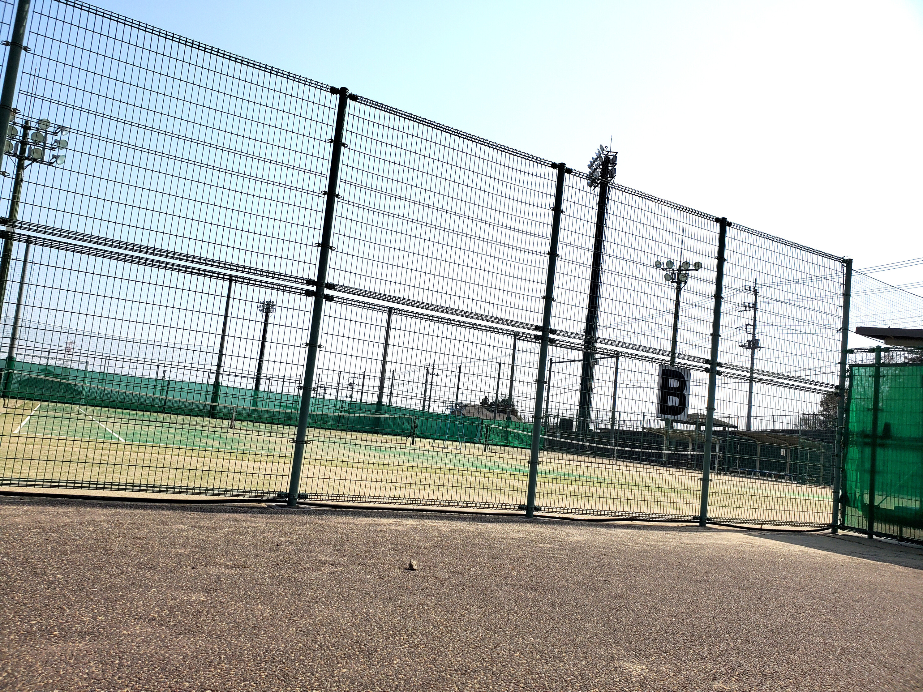 3/20 ゆるやかなボール : Studio Trefle