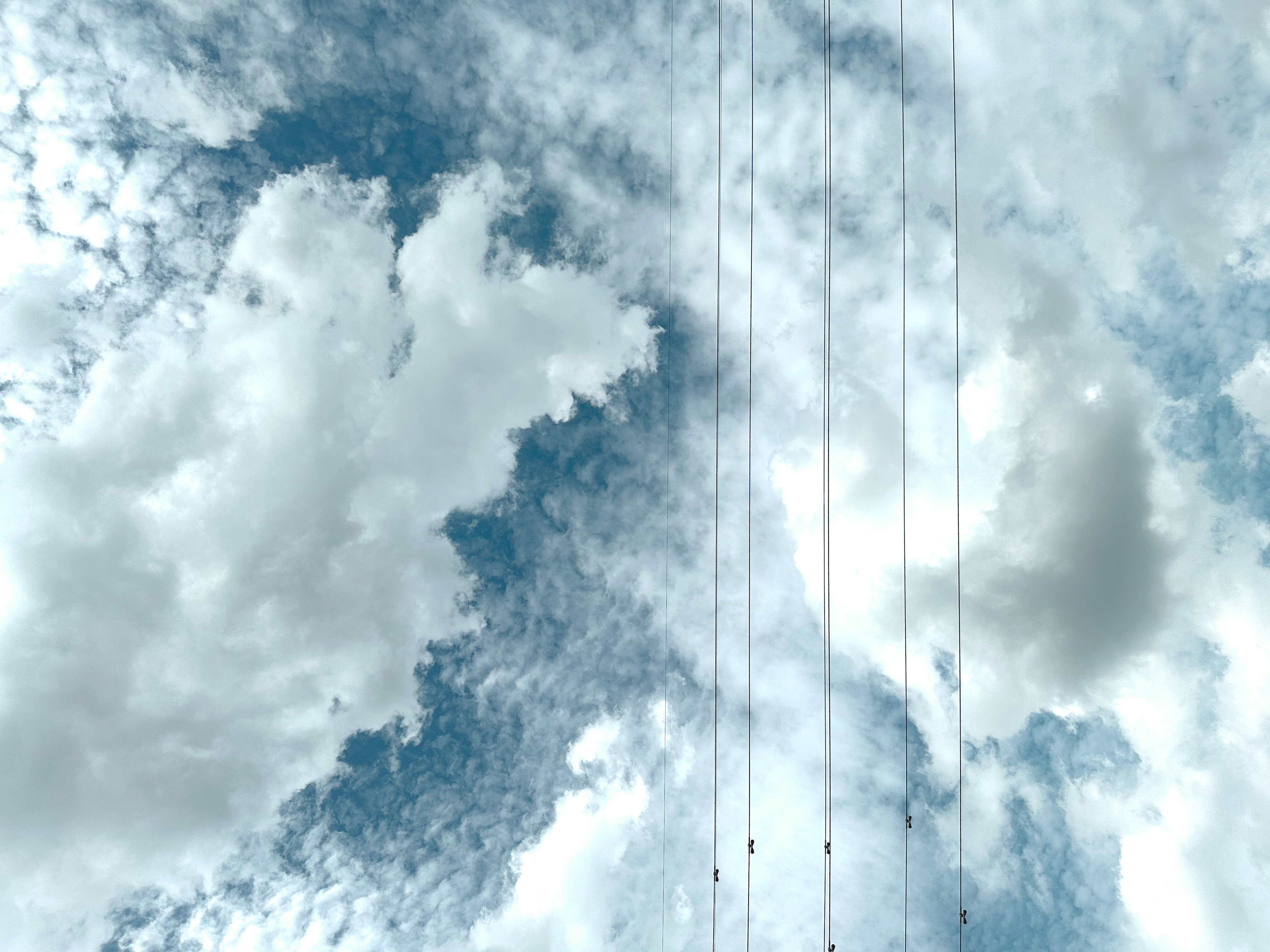 9/13 晩夏 : Studio Trefle