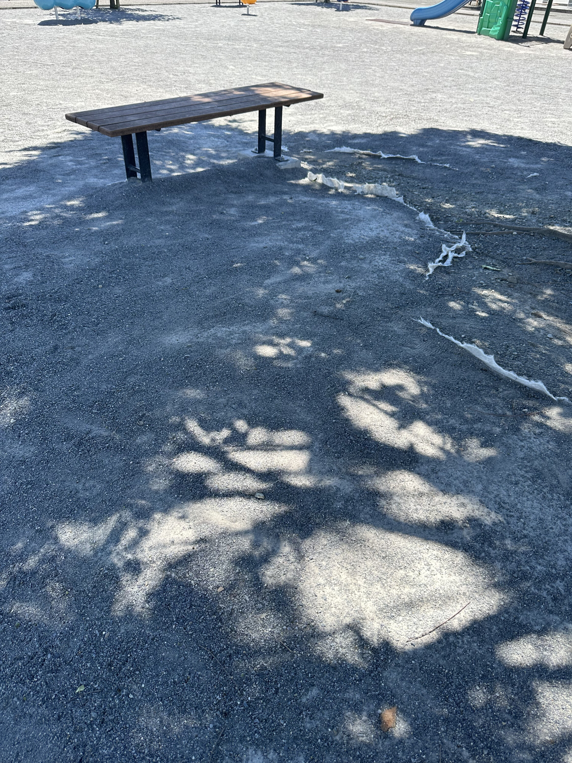 7/23 木陰キャ : Studio Trefle