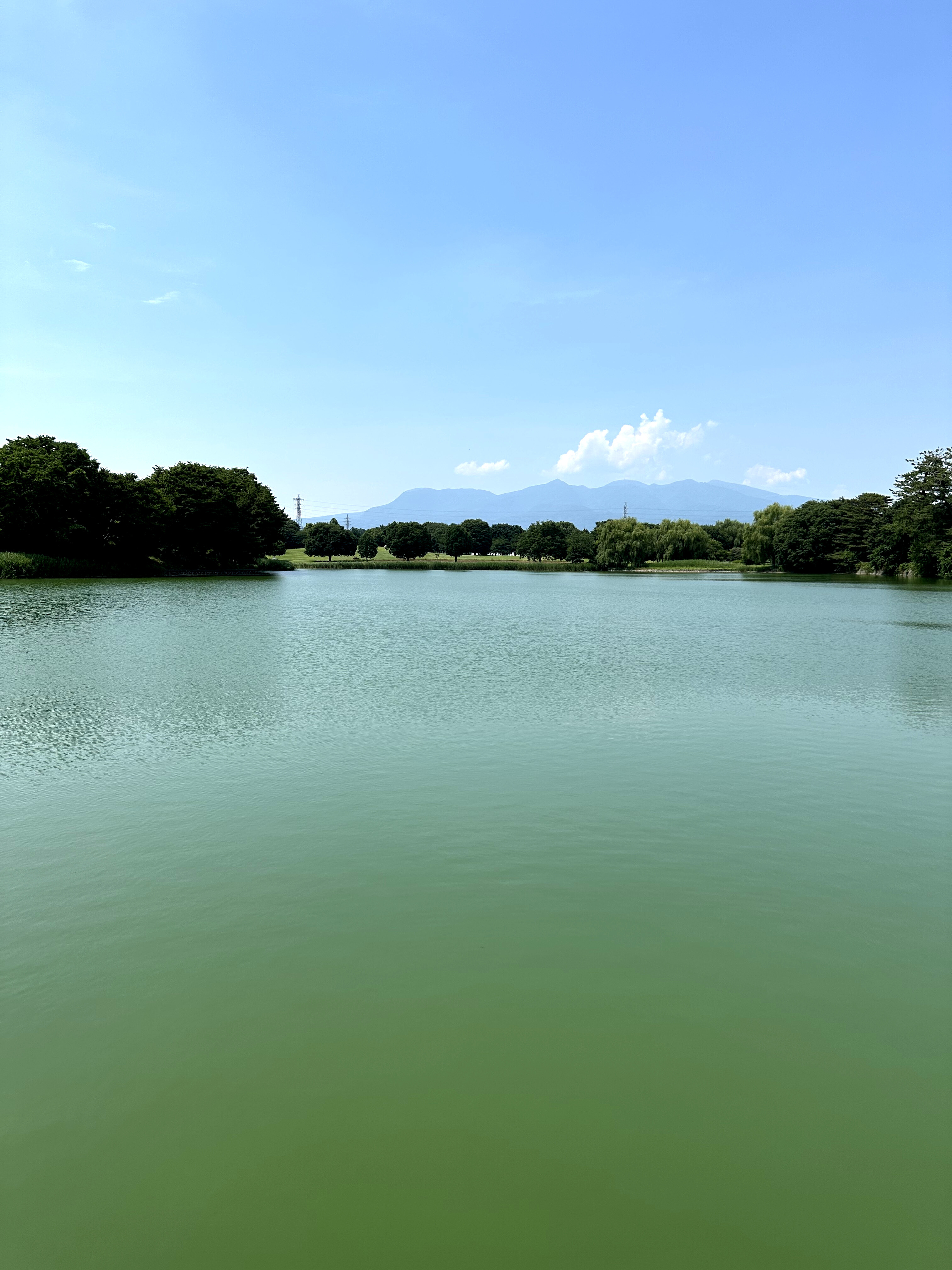 6/20 沼待 : Studio Trefle