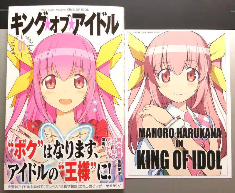 9/16 KING : Studio Trefle