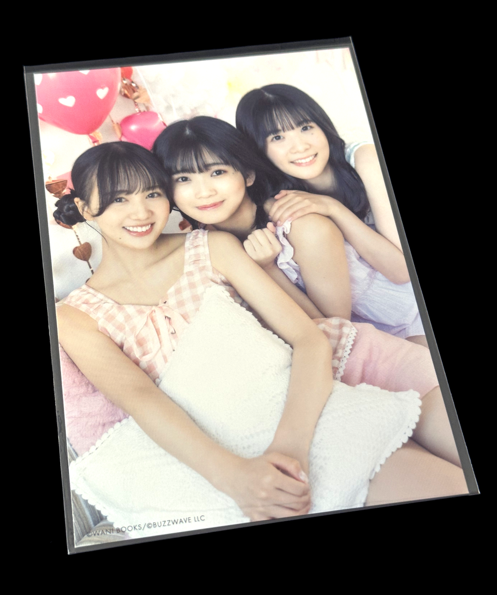 11/26 旅支度 : Studio Trefle