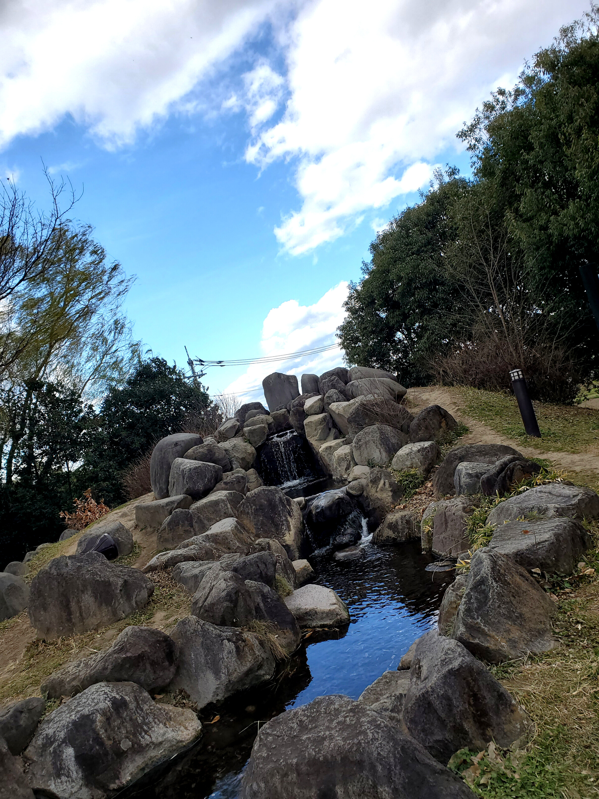 12/17 寒波 : Studio Trefle