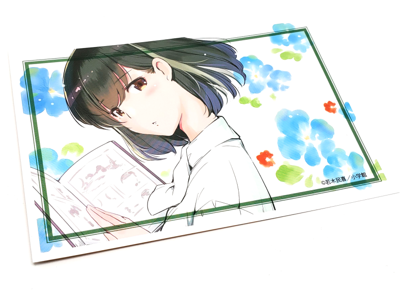 11/12 共棲するって、本当ですか : Studio Trefle