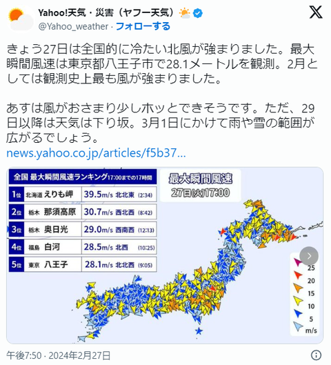 2/28 風を味方に愛をあなたに : Studio Trefle