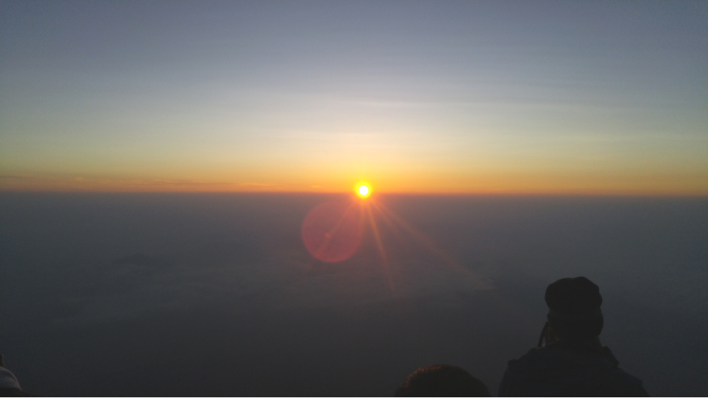 8/3 高みの見物 : Studio Trefle