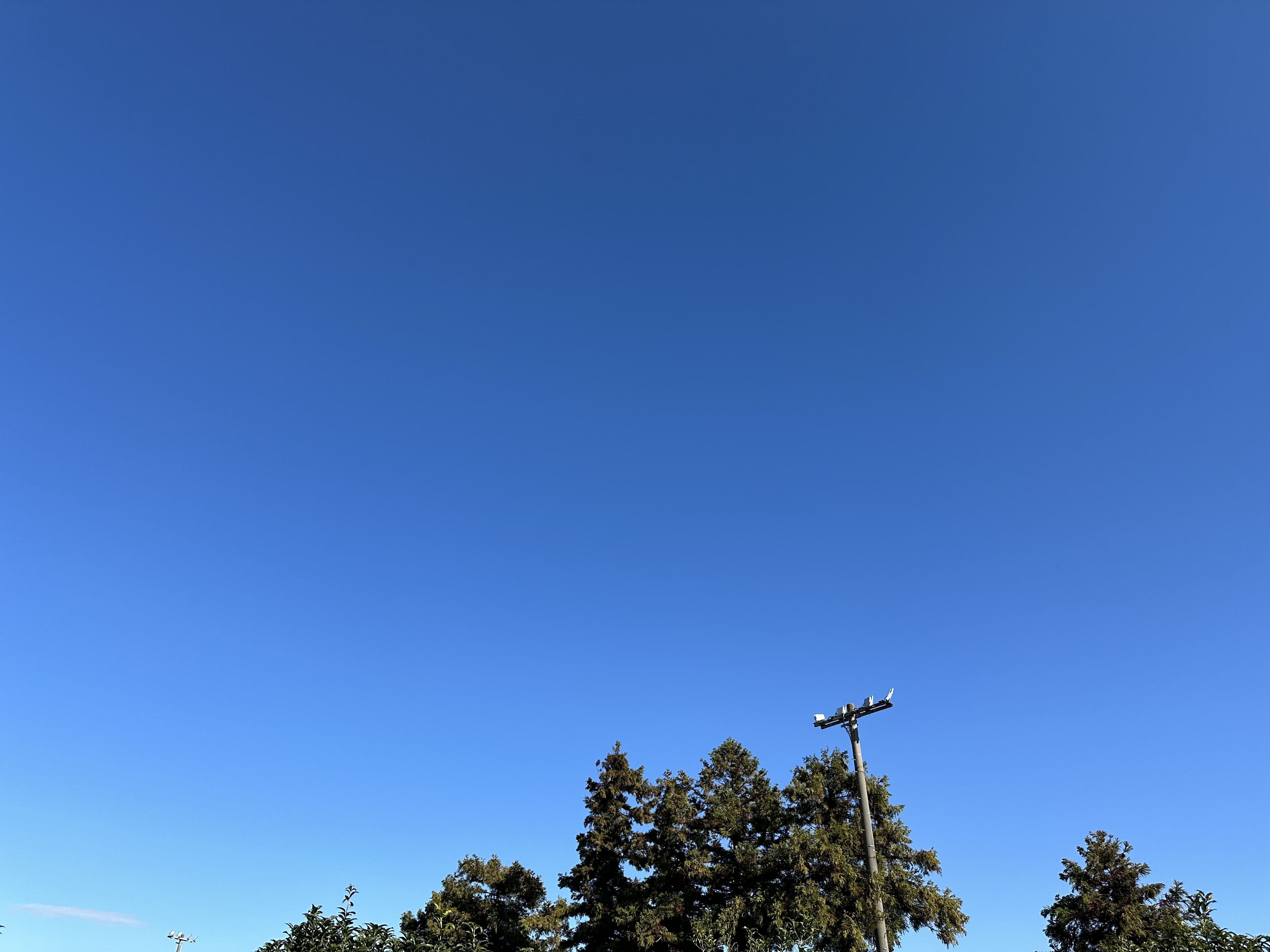 11/21 青い空気 : Studio Trefle