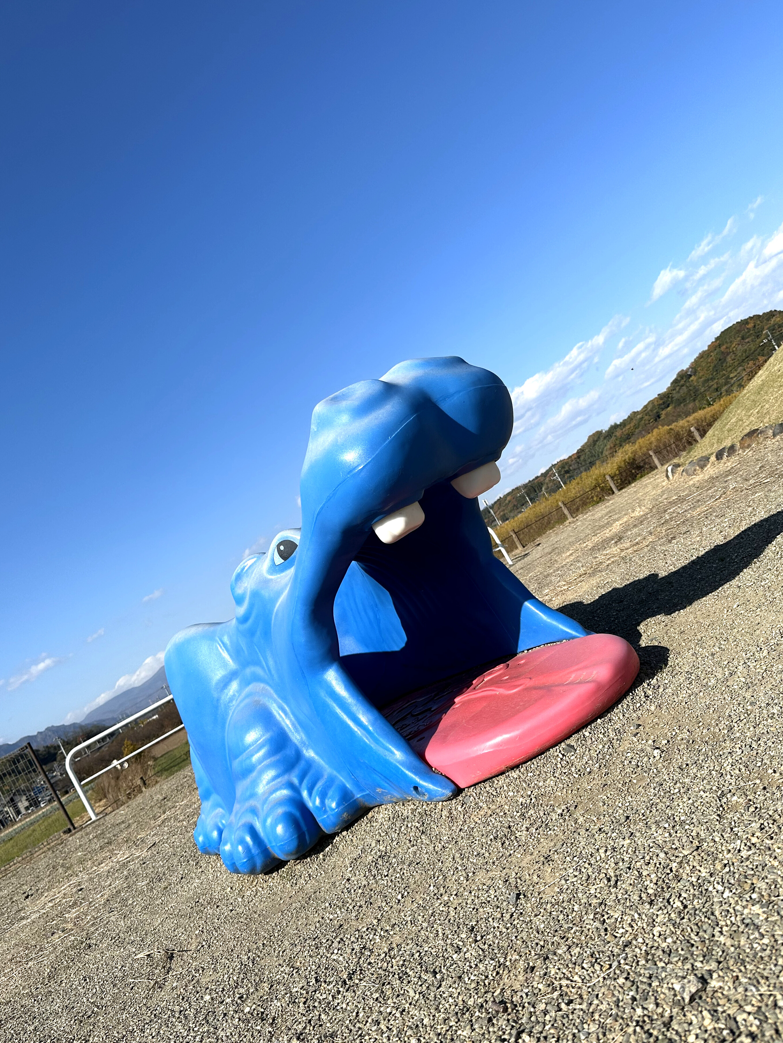 11/30 ひぽぽ : Studio Trefle