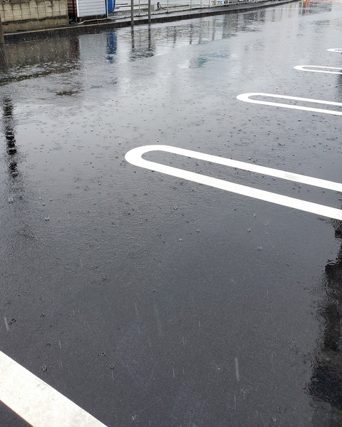 6/3 終わらない夢の外へ連れ出して : Studio Trefle