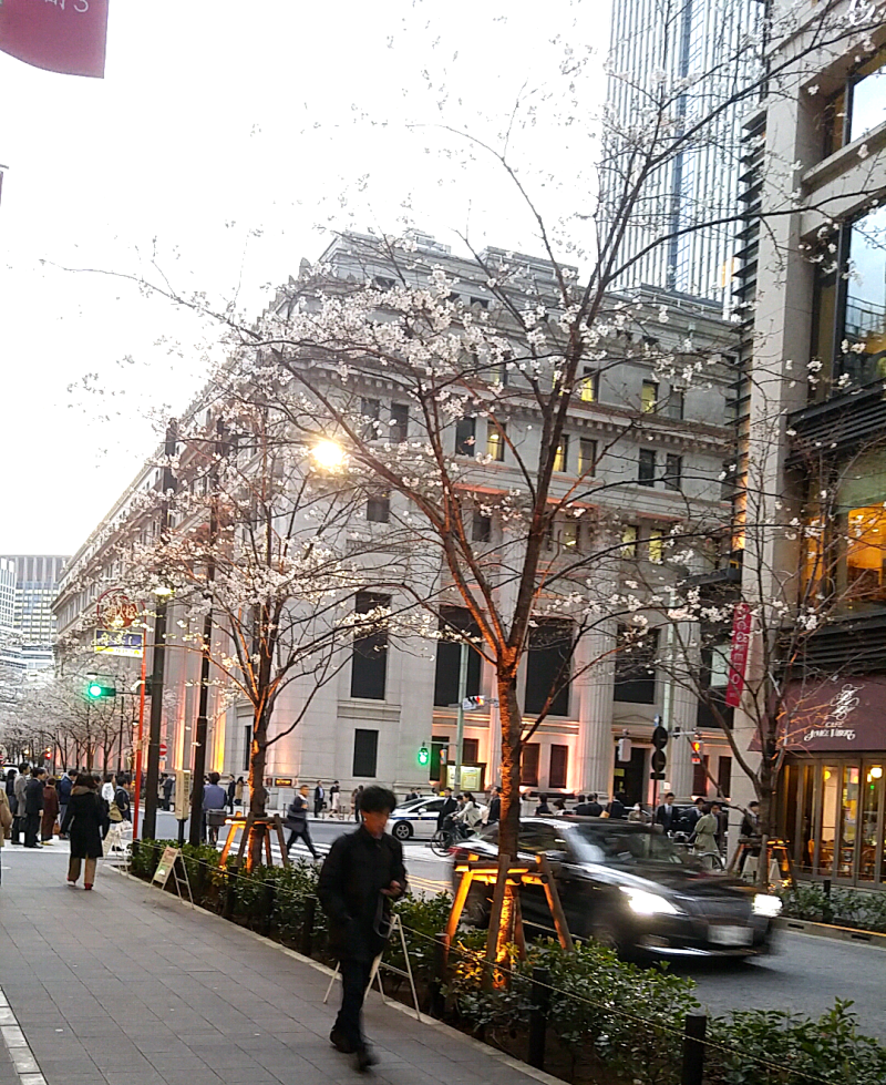 3/30 カメラはどこにでもある : Studio Trefle