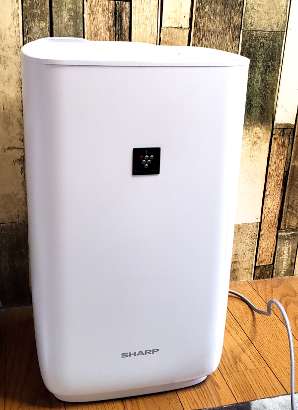 11/13 人生に潤い : Studio Trefle