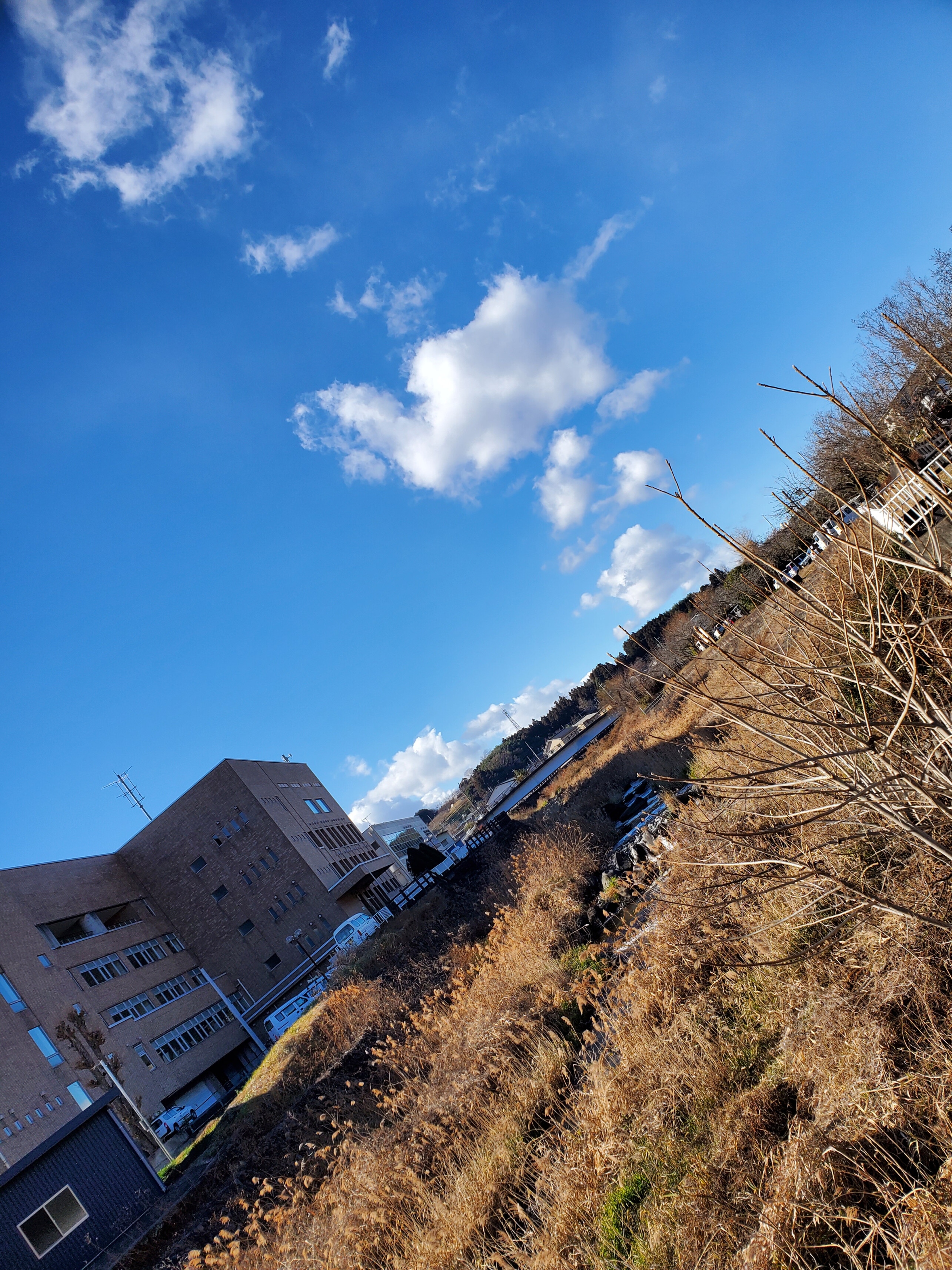 1/9 冬晴れ : Studio Trefle