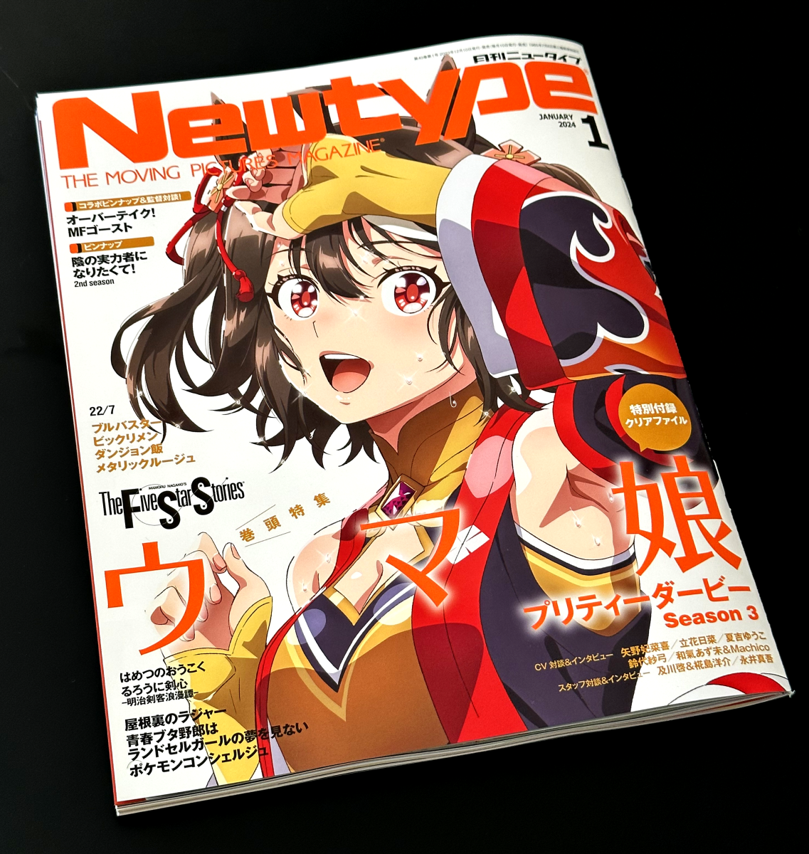 12/10 願いは屋根にかけよう : Studio Trefle