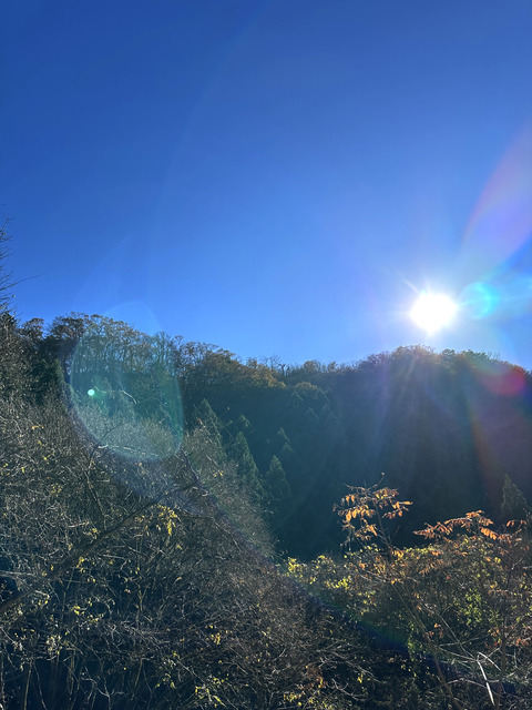 11/28 地と空 : Studio Trefle