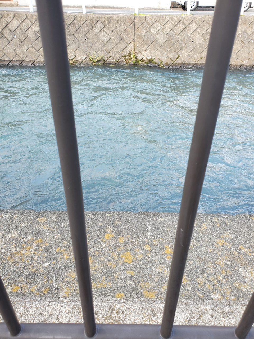 6/18 かわながれ : Studio Trefle