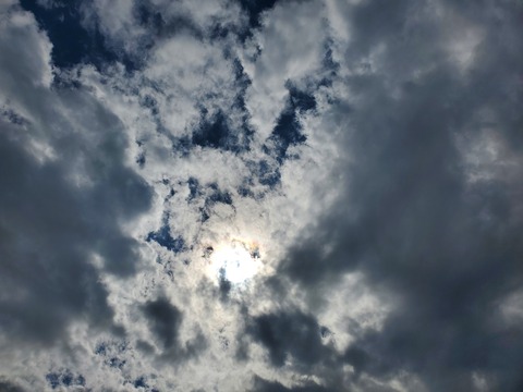 10/19 必ずそこへ帰る : Studio Trefle