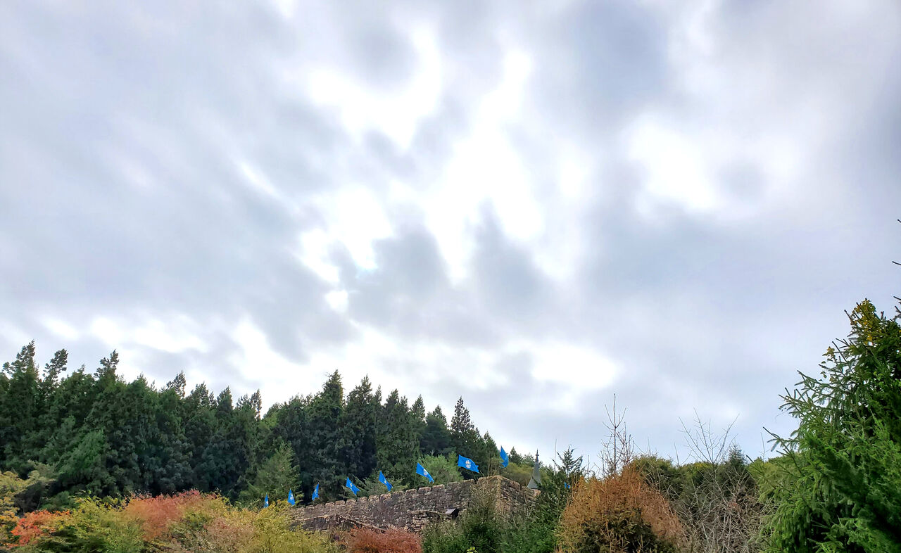 10/27 石の意志 : Studio Trefle