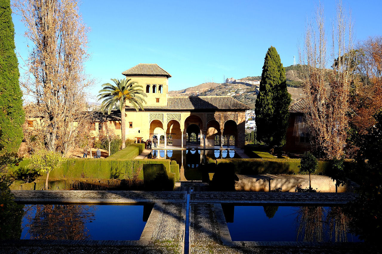 2015年12月21日 : 杉井のひとこと