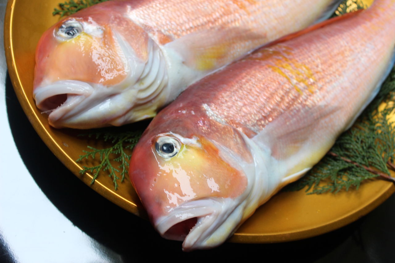 Seasonal ingredient of the month ～Japanese tilefish～ : おもてなし係 山さんの徒然日記