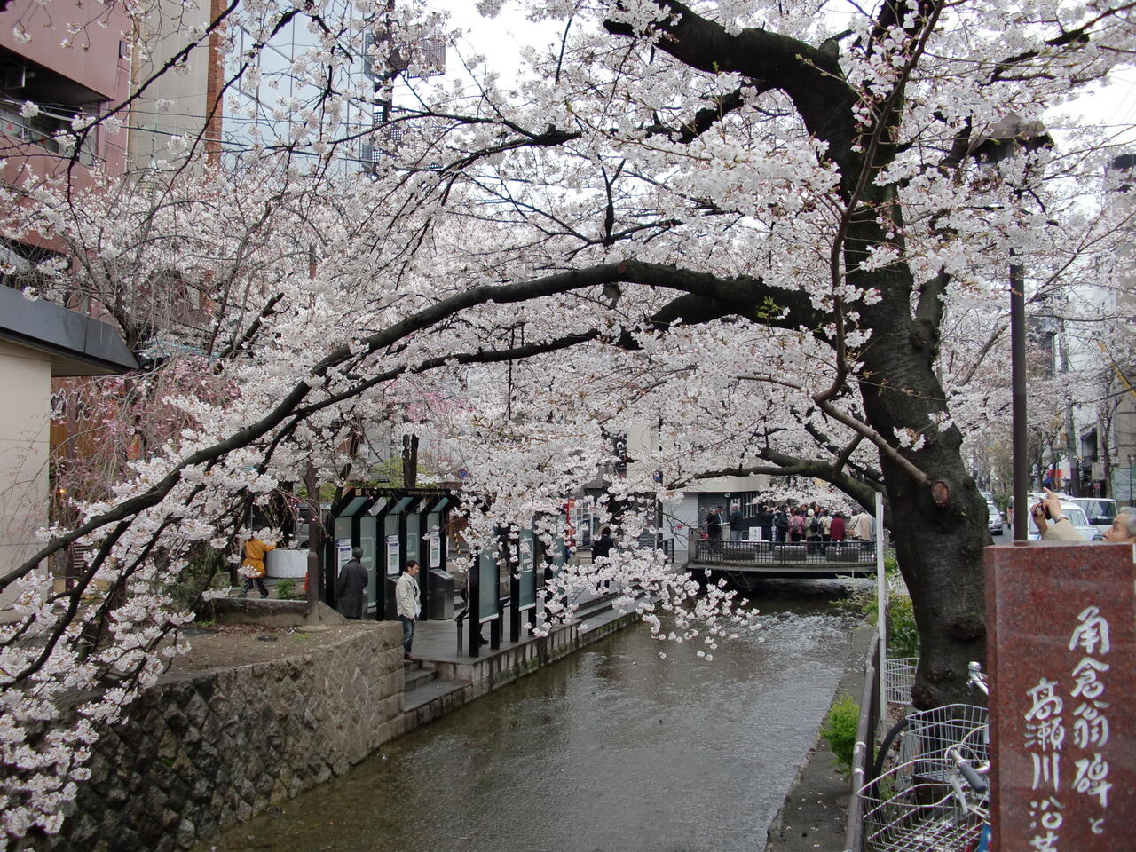 京都 祇園、高台寺 : Sumingの密かな楽しみを綴るブログ
