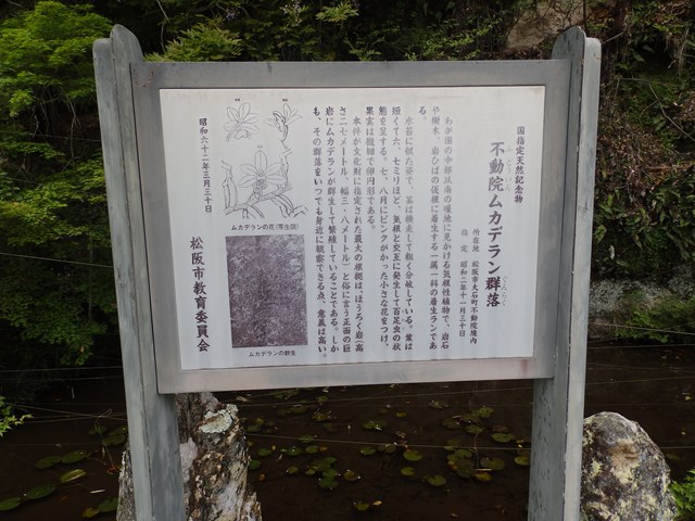 深野の棚田だんだん田サイクリング : ゆるゆるサイクリング