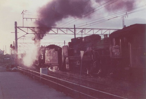 現役蒸気機関車時代 D51 442 : TANIの鉄道写真の回顧録