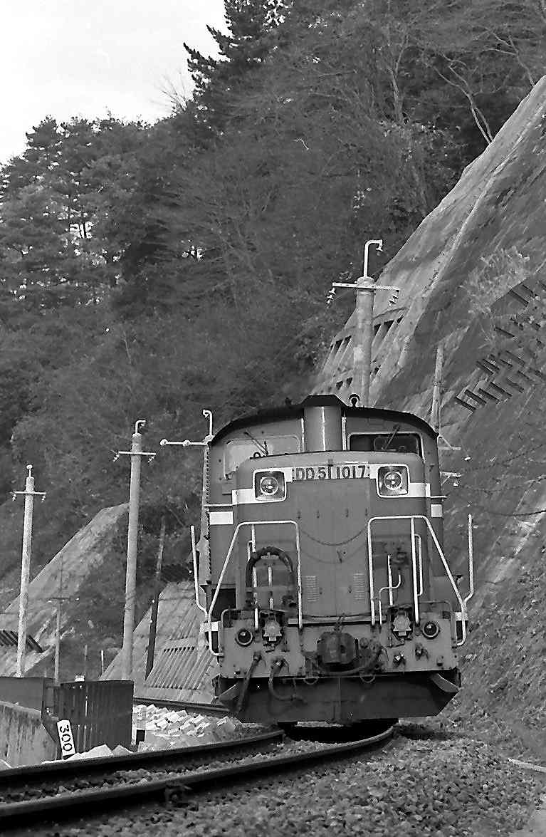 DD51 1017 : TANIの鉄道写真の回顧録