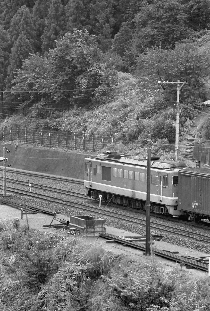 DF50 : TANIの鉄道写真の回顧録