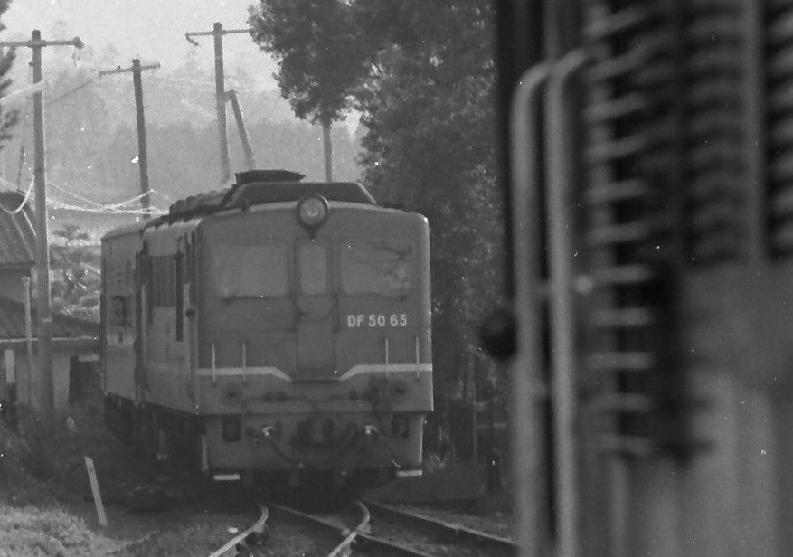 DF50、65号機その2 : TANIの鉄道写真の回顧録
