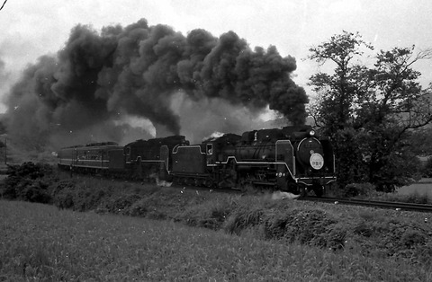 D51 906 : TANIの鉄道写真の回顧録