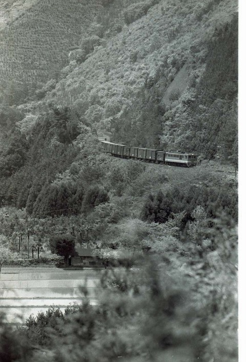 国鉄時代 DF50その25 : TANIの鉄道写真の回顧録