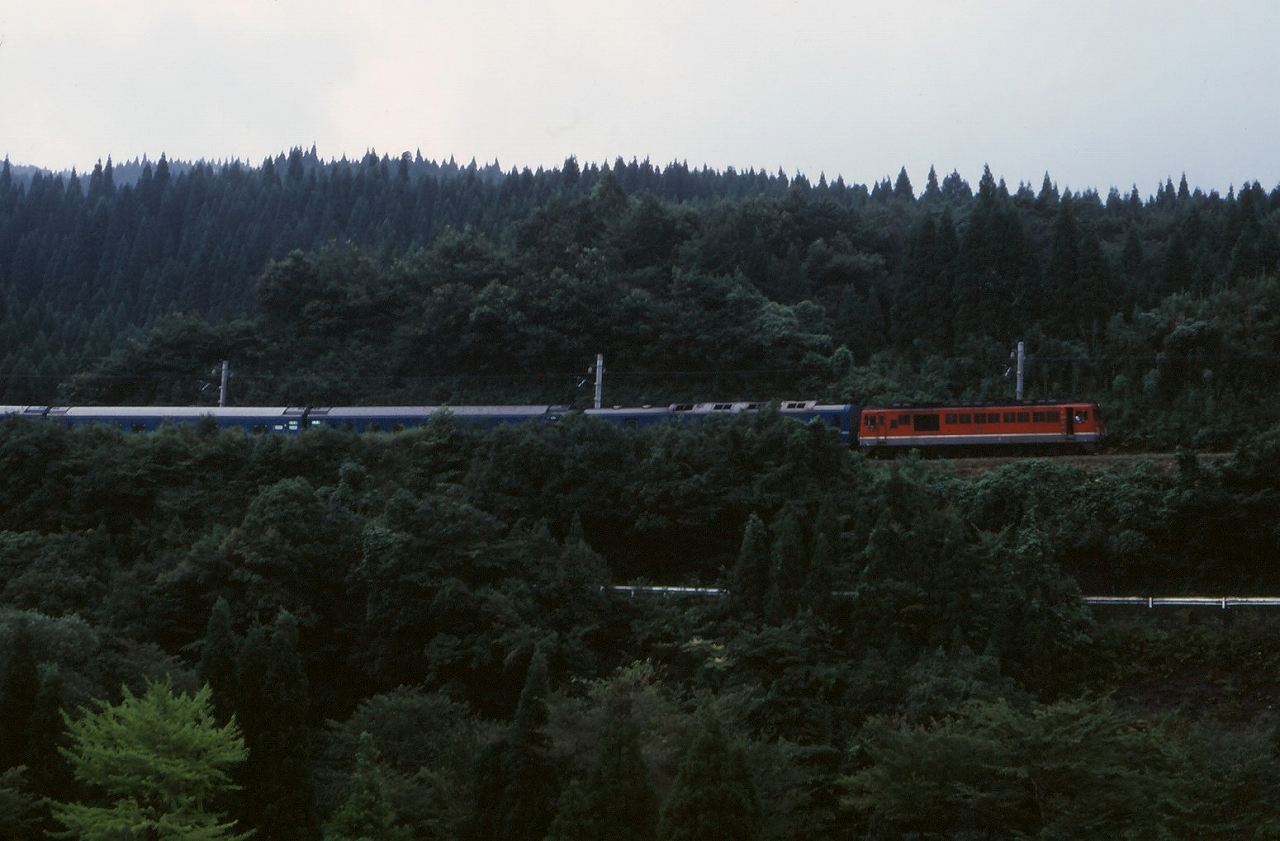 DF50、555号機 : TANIの鉄道写真の回顧録