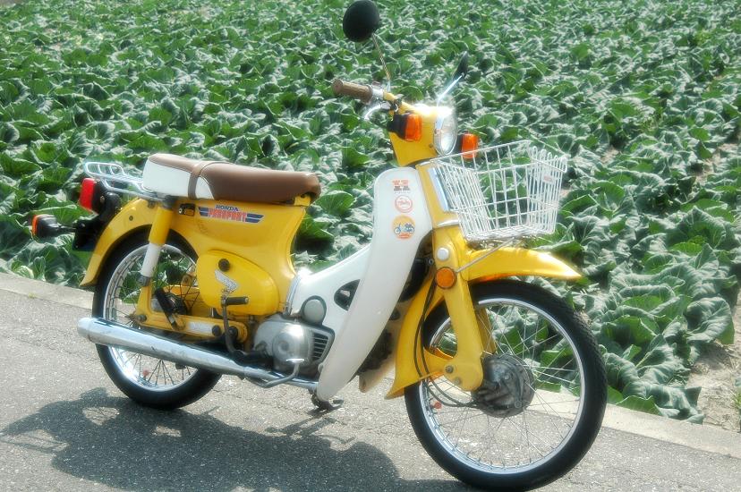 明日のために・・・HONDA C70 PASSPORTのご紹介 : スーパーカブ中心生活？ TONY’S甲信生活！
