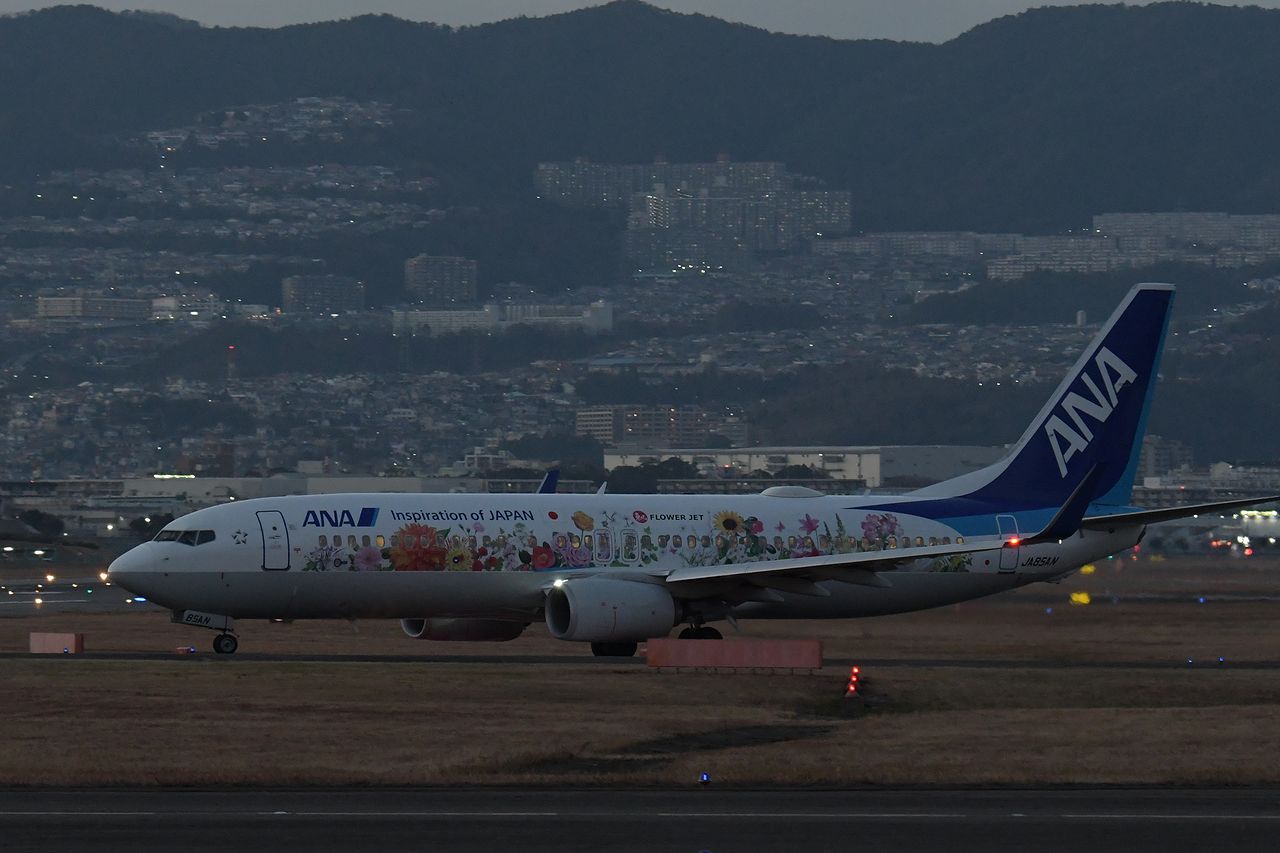 大阪空港でANA FLOWER JETを撮ってみた : 私のアタマの中は飛行機だらけ