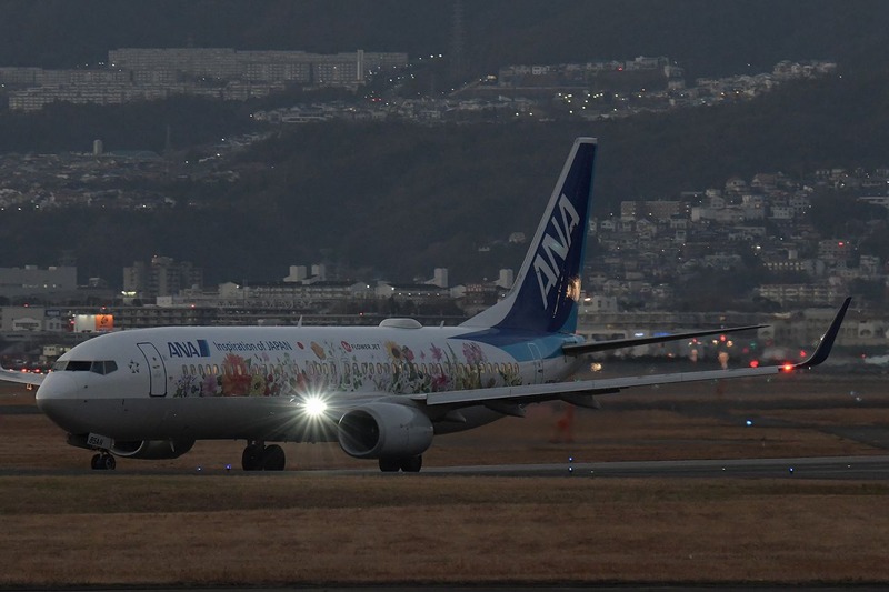 大阪空港でANA FLOWER JETを撮ってみた : 私のアタマの中は飛行機だらけ