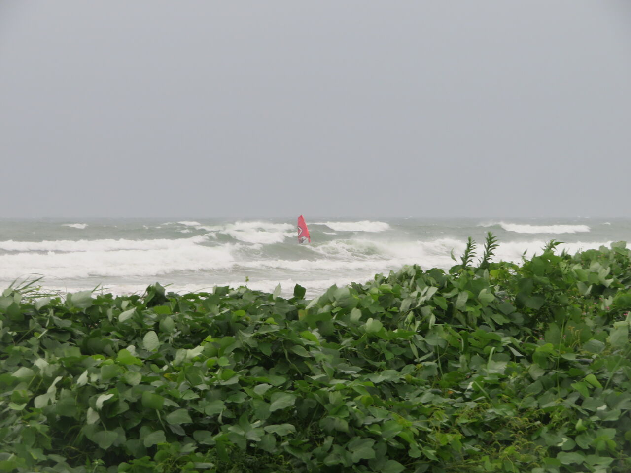 surfandwindstyle : WINDSURFING