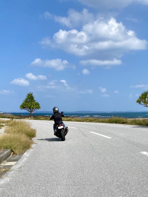 ネジのバイクブログ : Vmax 1200 ツーリング 2025.11.3 XL883N