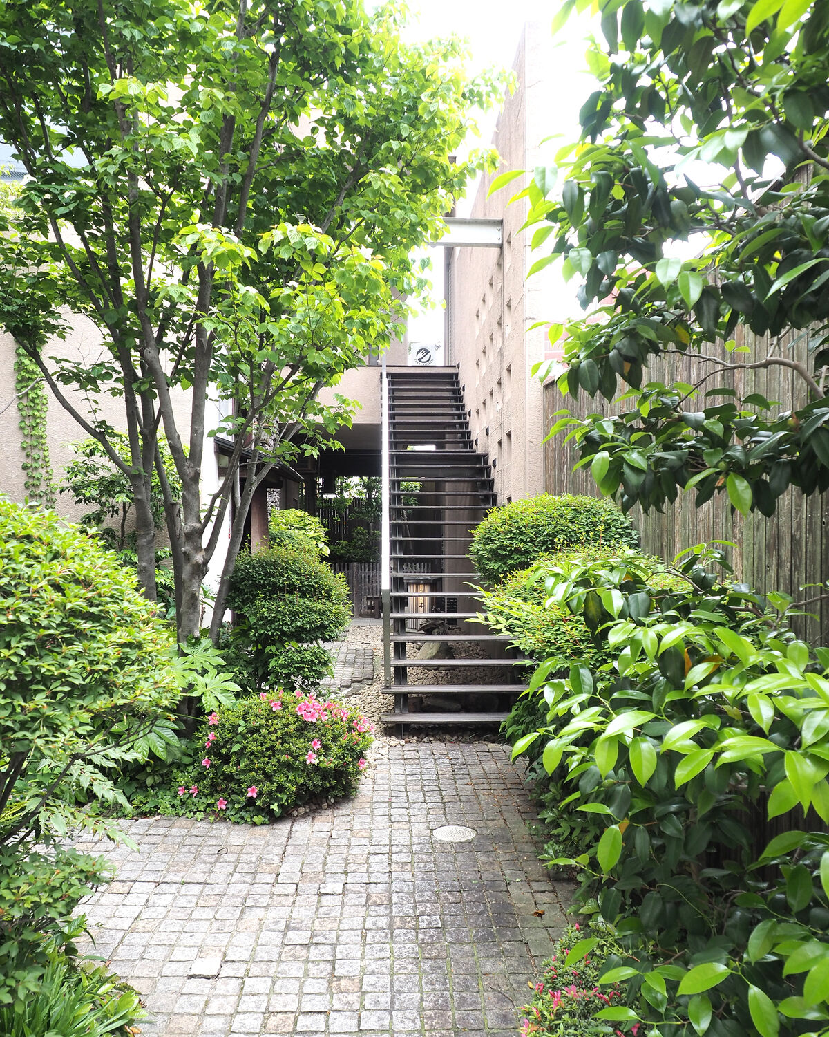 赤坂駅4番出口徒歩7分『italian bar TAKA’s KITCHEN』 エントランスや中庭の立木の緑が心地好い隠れ家的イタリアンバル ...