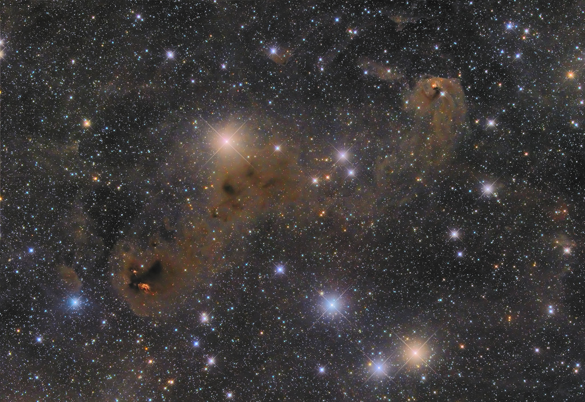 NGC1555からSh2-239：ハインドの変光星雲 : SE250n+α奮闘記