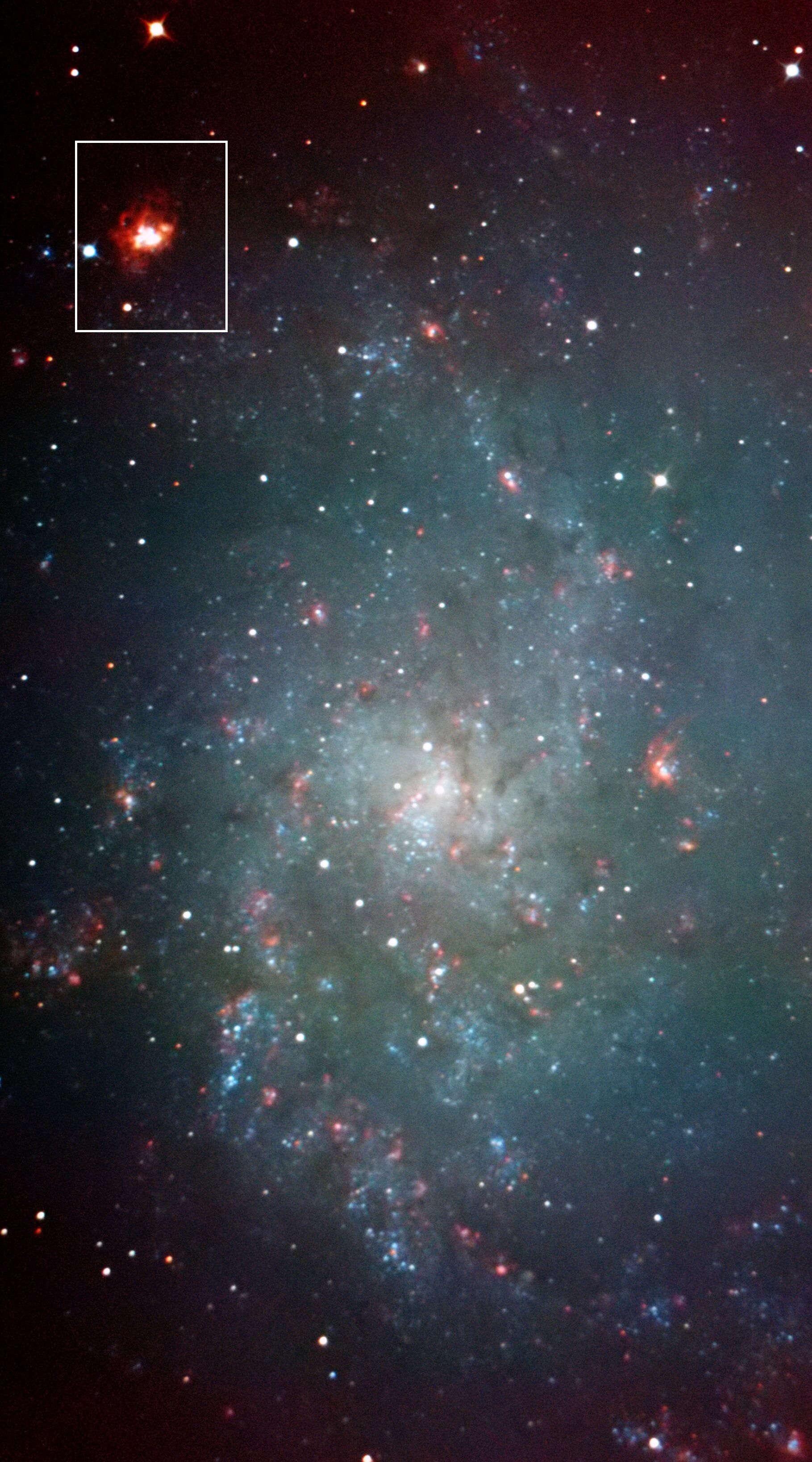 NGC604 さんかく座 M33の中のHⅡ領域 : FROM DEEP SPACE 宇宙の深い所から