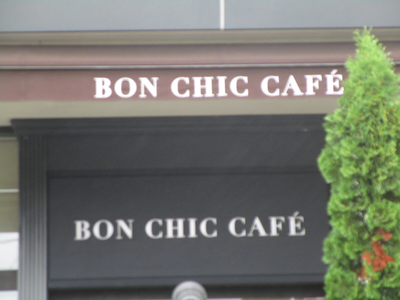 BON CHIC CAFE（ボンシックカフェ） : 食べ放題万歳