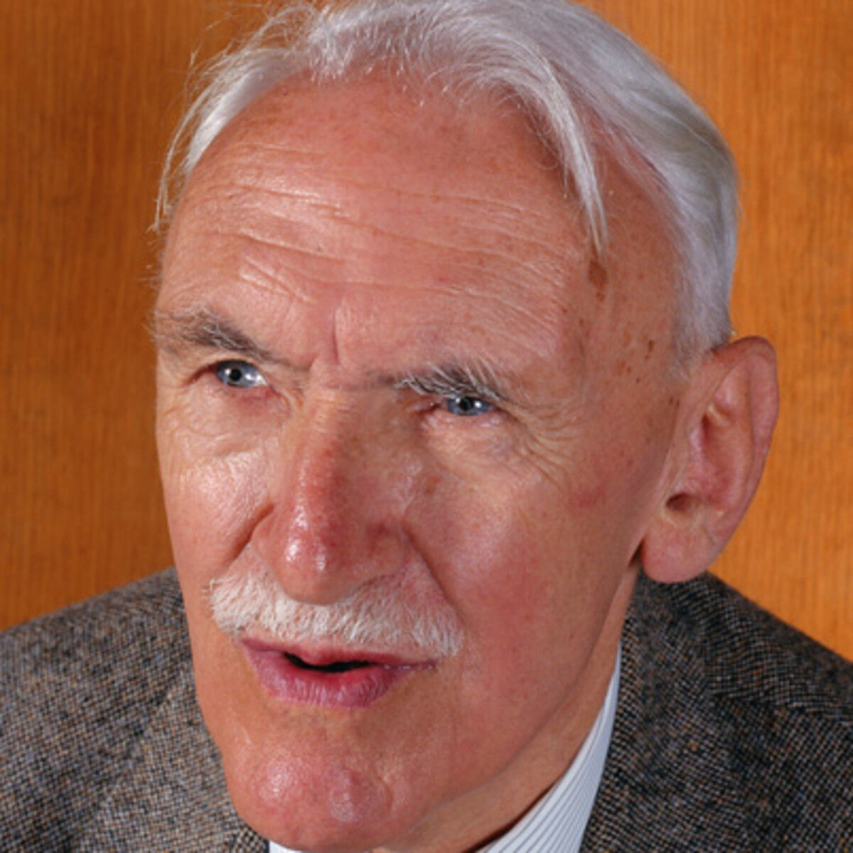 Alan Louis Charles Bullock 1914年12月13日 - 2004年2月2日 : tableau_in_mind Ⅲ