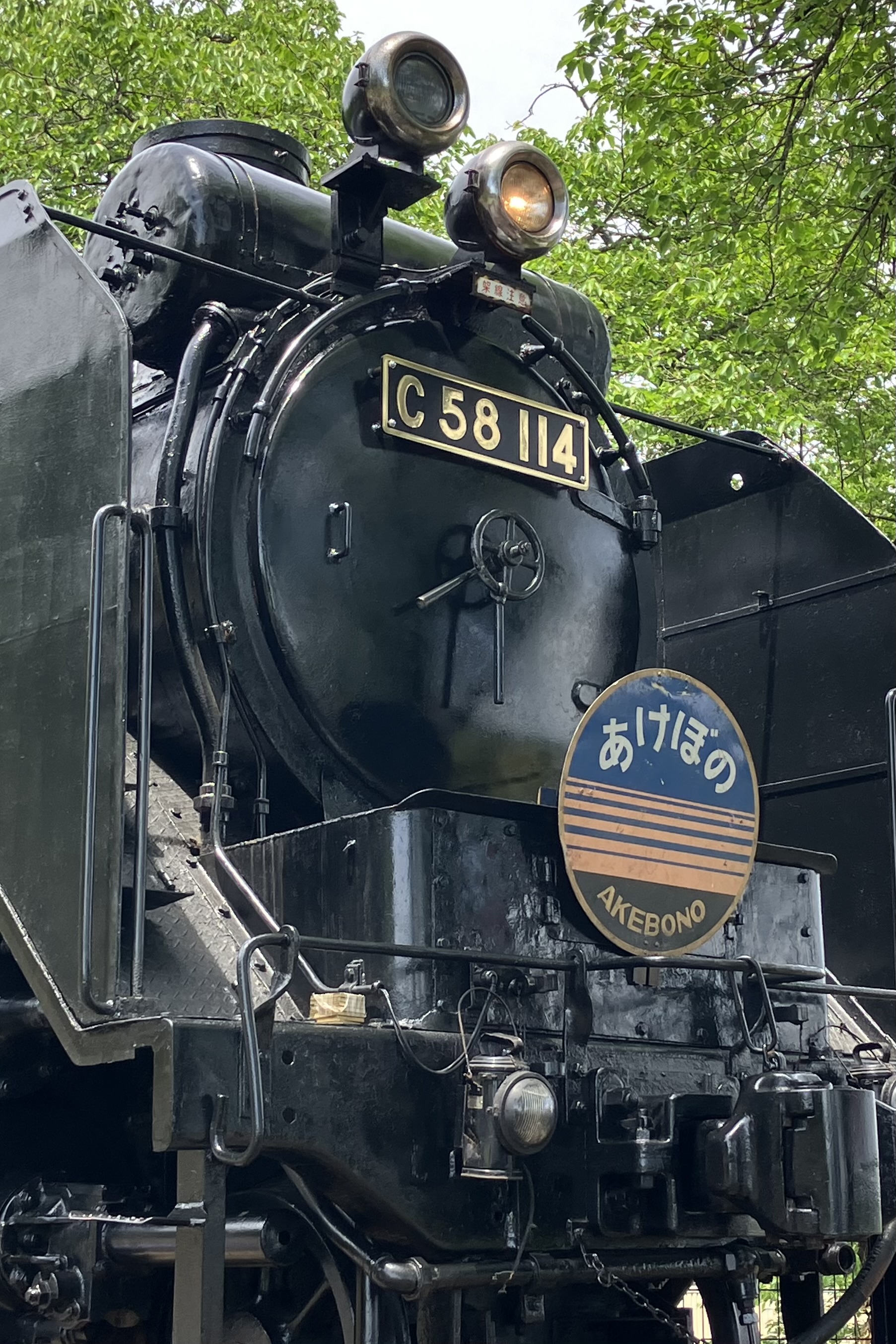 [保存蒸機めぐり] 城山公園 C58 114 : 新•たいすんの鉄道&プラレールブログ