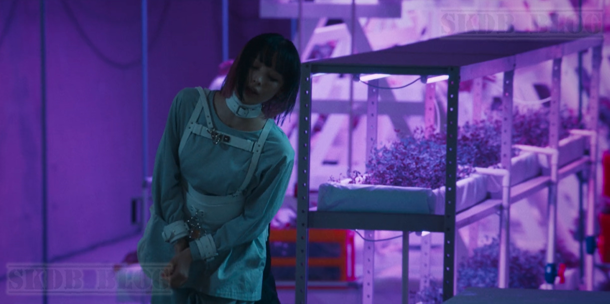 実写版シティーハンター : SKDB BLOG