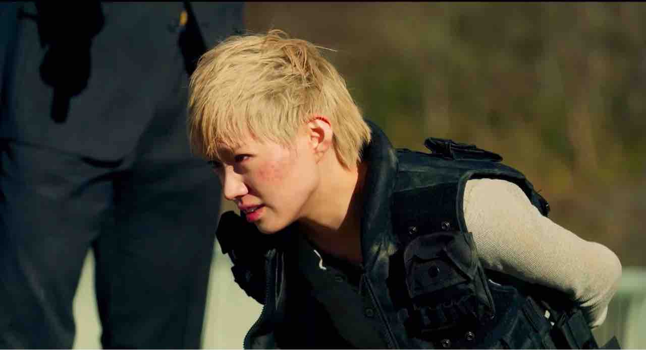 映画バイオレンスアクション : SKDB BLOG