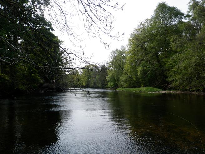 River Wye（Doldowlod＆Pwll-y-Faedda）釣行 : 少年老い易く学成り難し一寸の光陰かるんべからず