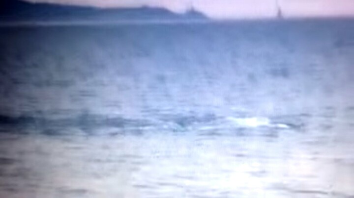 《再》フォイル湖の怪物 [" Re " foil lake monster] : 13SHOE・高野十座のブログ