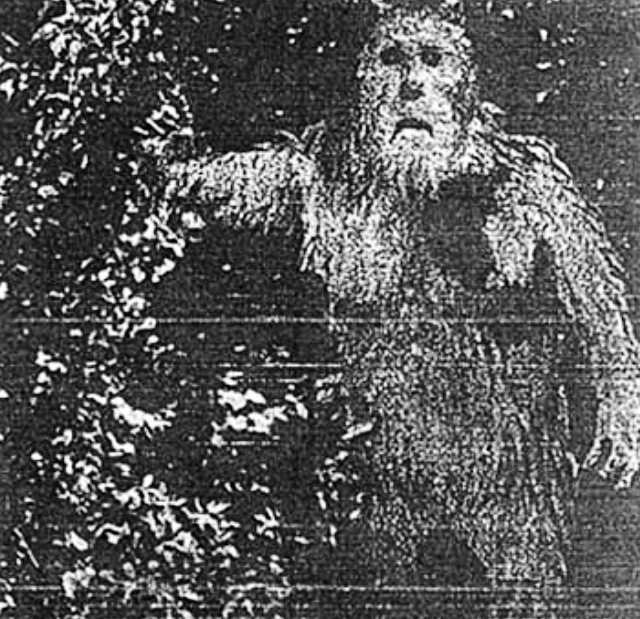 マーフィーズボロのビッグ・マディ・モンスター【of murphysboro, big muddy monster】 : 13SHOE・高野十座のブログ