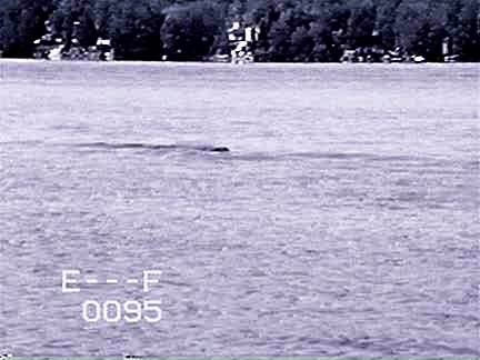 美しいメンフレ【Beautiful Memphre】 : 13SHOE・高野十座のブログ